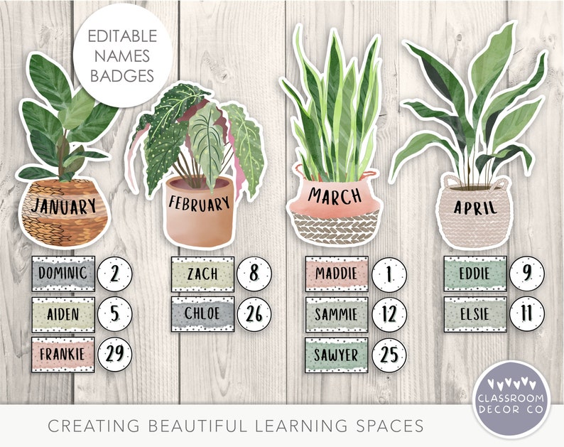 PLANTS & FOLIAGE Birthday Display Celebration Classroom - Etsy