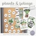 PLANTS & FOLIAGE Classroom Daily Schedule, Classroom Timetable Display ...