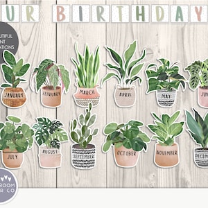 PLANTS & FOLIAGE Birthday Display, Celebration Classroom Display, Boho ...