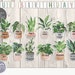 PLANTS & FOLIAGE Birthday Display, Celebration Classroom Display, Boho ...