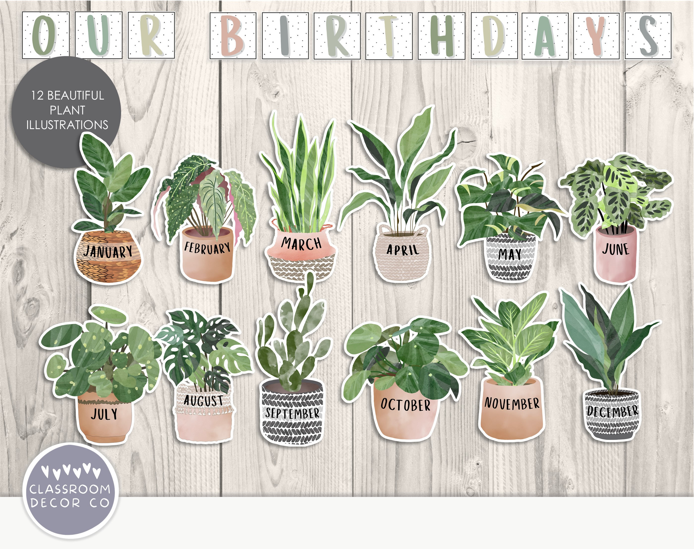 PLANTS & FOLIAGE Birthday Display Celebration Classroom - Etsy