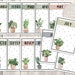PLANTS & FOLIAGE Birthday Display, Celebration Classroom Display ...