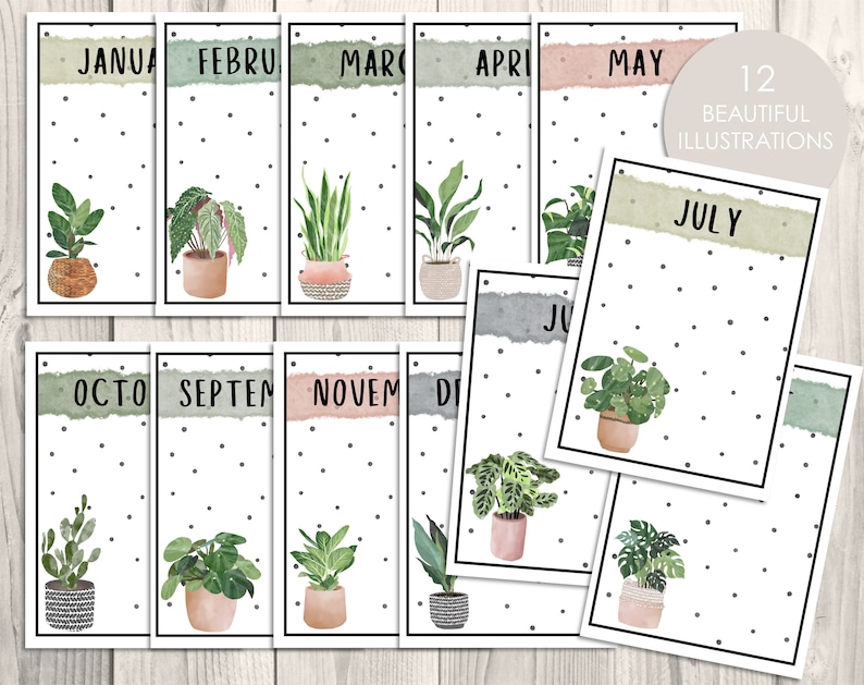 PLANTS & FOLIAGE Birthday Display Celebration Classroom - Etsy