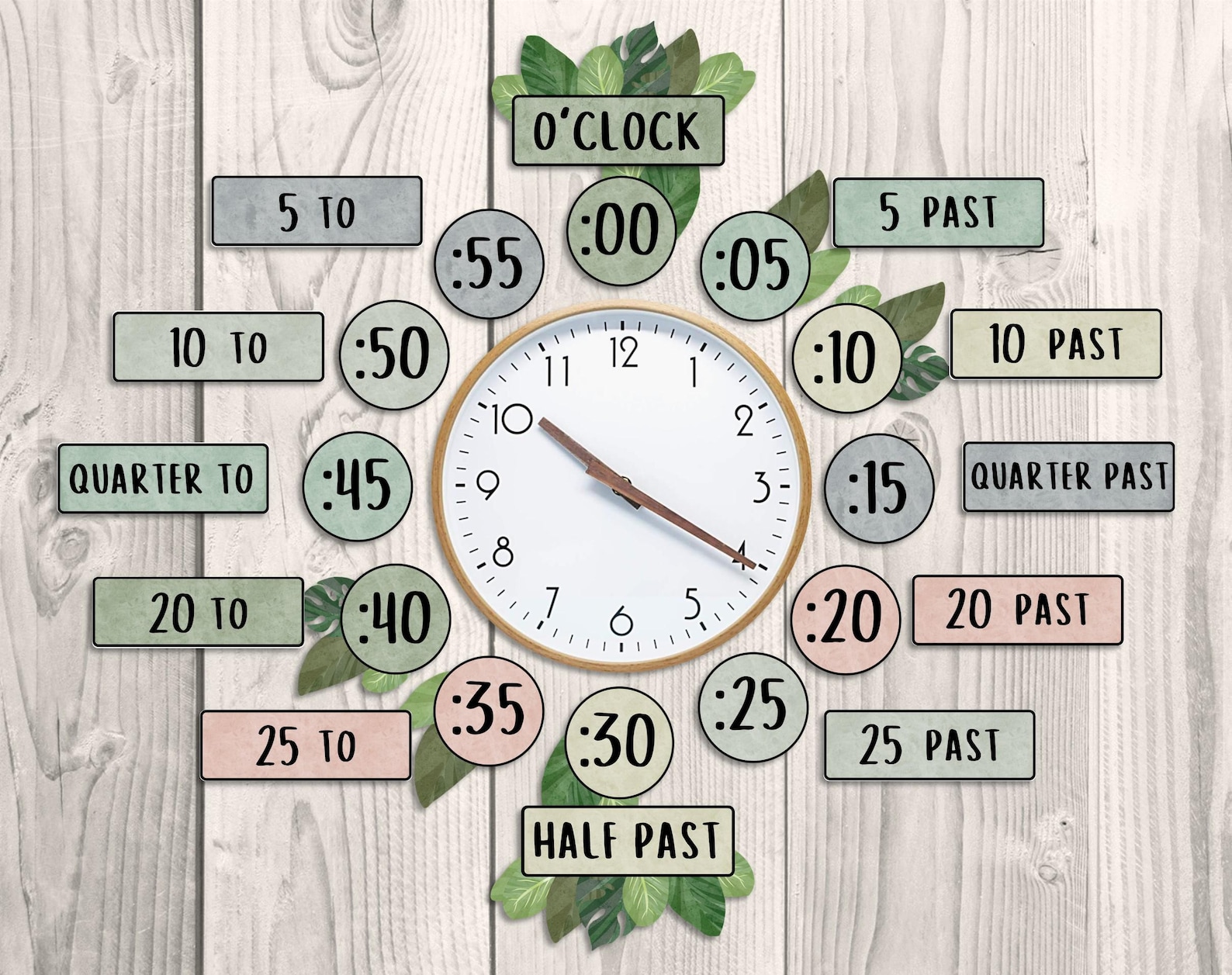 PLANTS & FOLIAGE Clock Numbers, Clock Printables, Classroom Printables ...