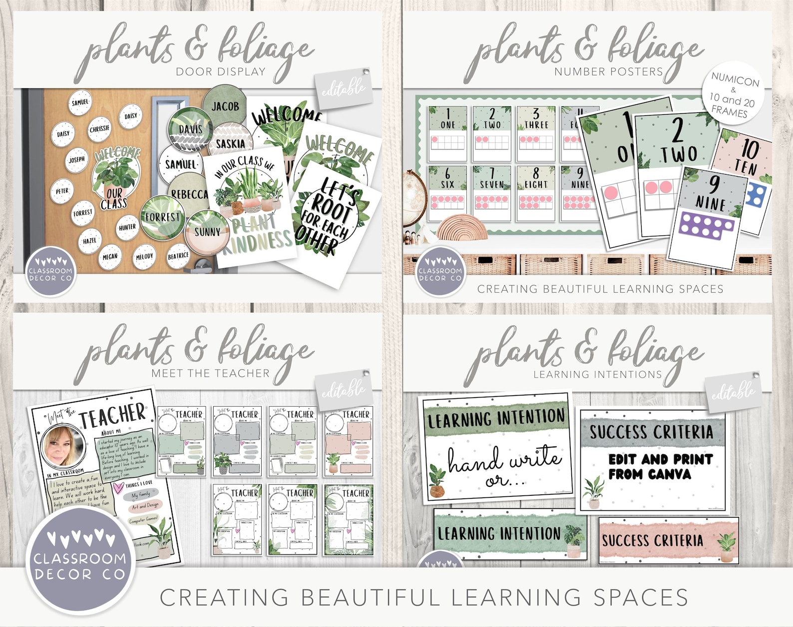 PLANTS & FOLIAGE Complete Classroom Display Bundle - Etsy