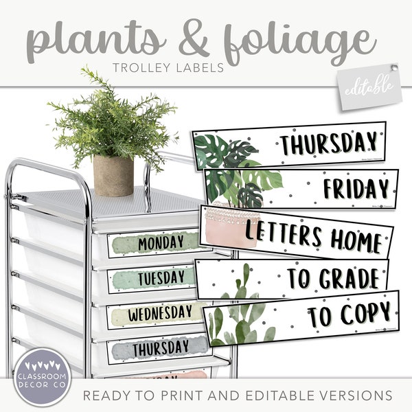 Teacher Rolling Cart - Etsy