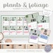PLANTS & FOLIAGE Complete Classroom Display Bundle, Customizable ...