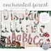 ENCHANTED FOREST Display Lettering, Custom Classroom Display, Rustic ...