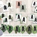 PLANTS & FOLIAGE Flag Bunting, Custom Classroom Display, Classroom ...