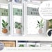 PLANTS & FOLIAGE Binder Covers and Spines, Classroom Organization ...