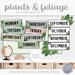 PLANTS & FOLIAGE Complete Classroom Display Bundle, Customizable ...