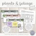 PLANTS & FOLIAGE Classroom Daily Schedule, Classroom Timetable Display ...