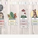ENCHANTED FOREST Birthday Display, Celebration Classroom Display ...