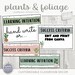 PLANTS & FOLIAGE Complete Classroom Display Bundle, Customizable ...