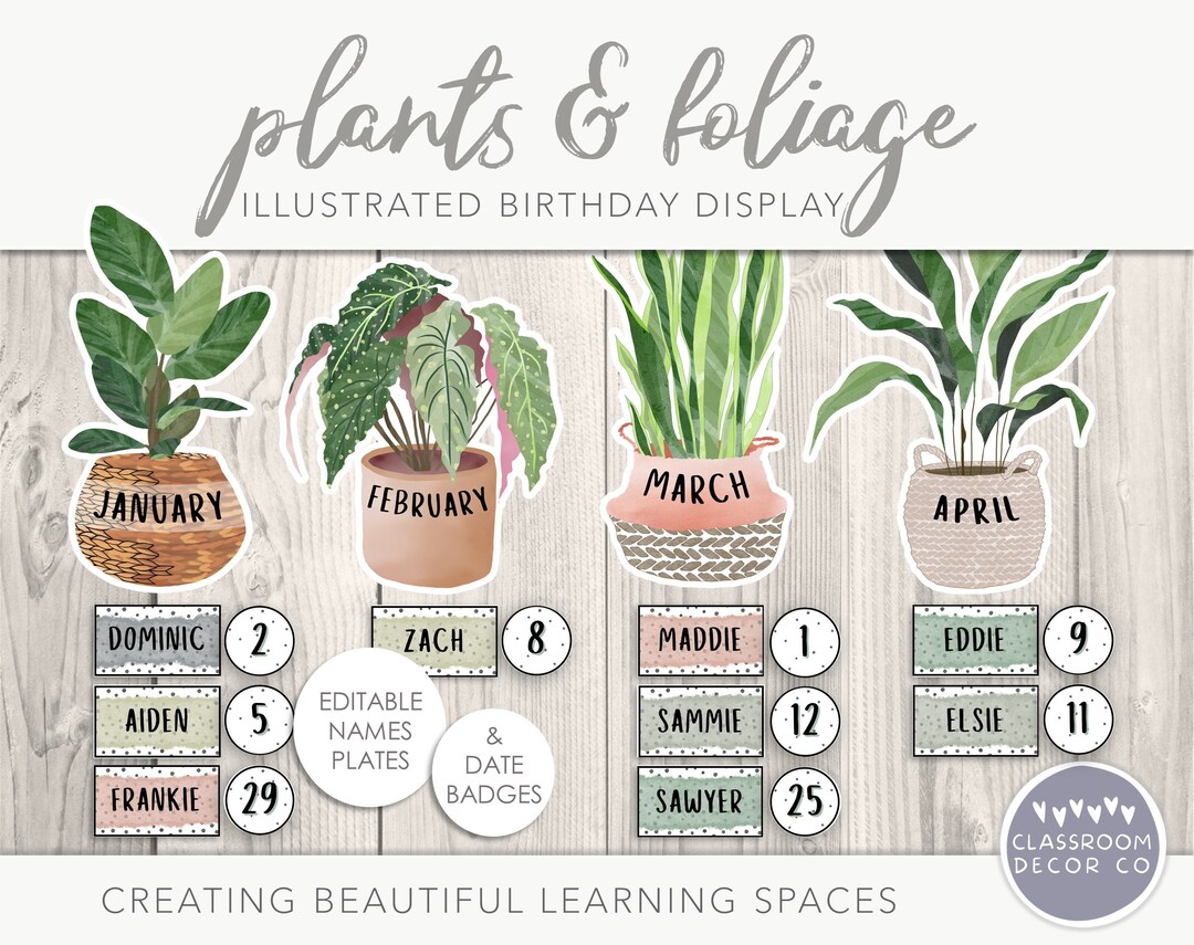 PLANTS & FOLIAGE Birthday Display Celebration Classroom - Etsy UK