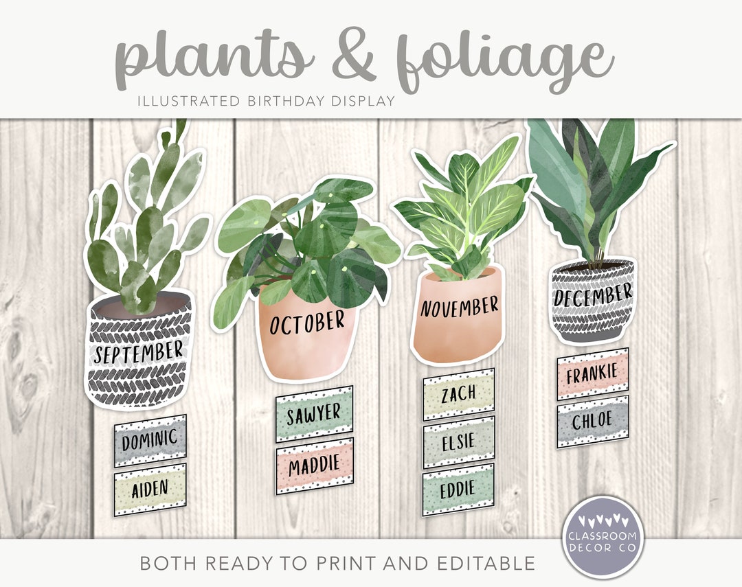 PLANTS & FOLIAGE Birthday Display, Celebration Classroom Display, Boho ...