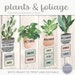 PLANTS & FOLIAGE Complete Classroom Display Bundle, Customizable ...