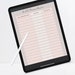 Digital Bill Tracker, Monthly Bill Tracker, Expense Report, Bill ...