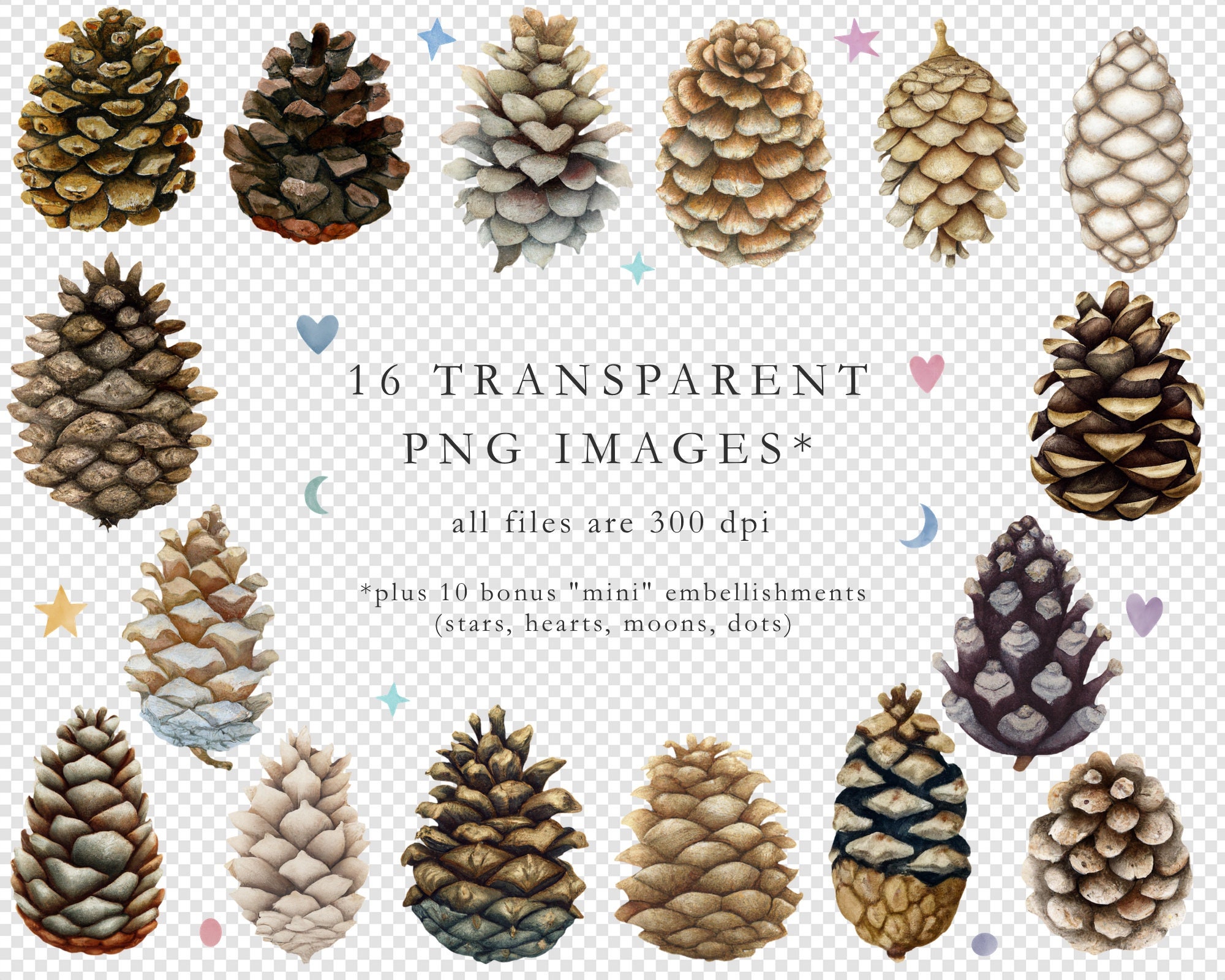 Pine Cone Clipart, Watercolor Pine Cones, Clip Art, Winter, Foliage ...
