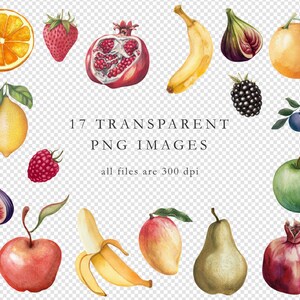 Watercolor Fruit, Clipart, Apple, Orange, Lemon, Clipart Set ...