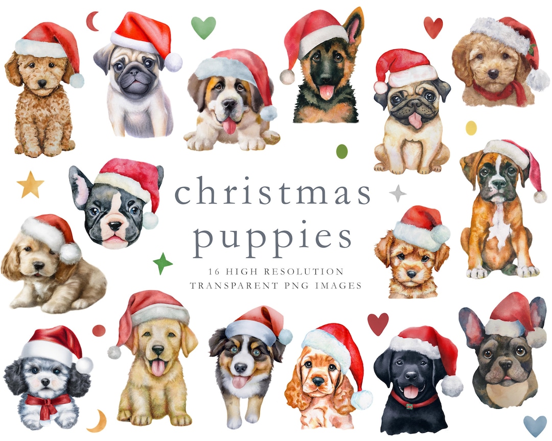 Christmas Dog Clipart, Santa Hat, Christmas Puppy, Cute Animal, Dogs ...