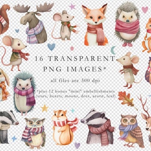 Cute Animals Clipart, Watercolor Animals, Fall Clipart, Autumn Clipart ...