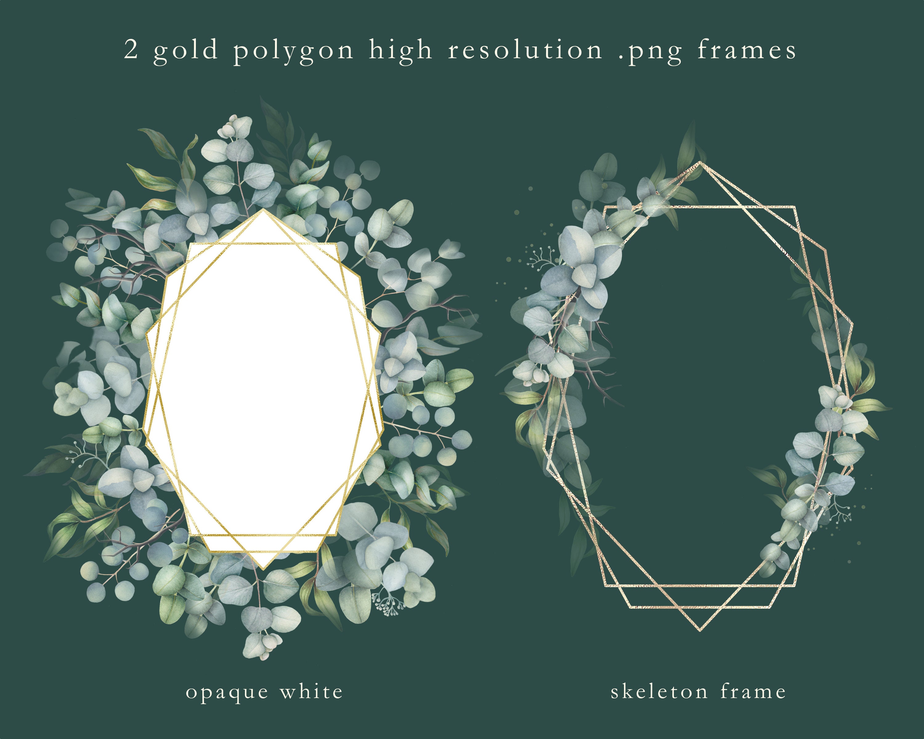 Eucalyptus Frames Watercolor Eucalyptus Foliage Frames - Etsy