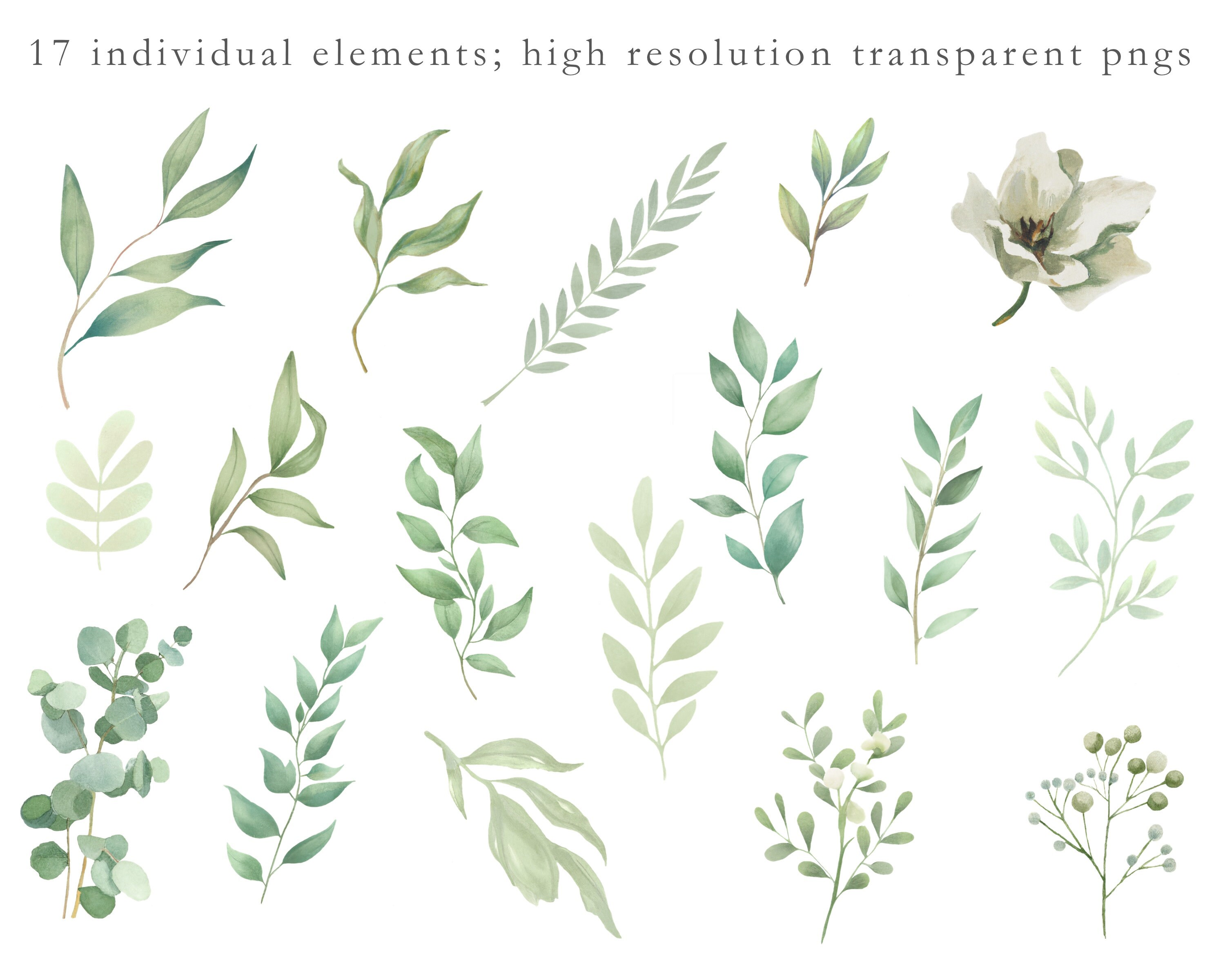 Delicate Watercolor Foliage Wedding Clipart Watercolor - Etsy