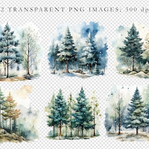 Pine Forest Clipart, Conifer Clipart, Watercolor Forest, Pine Tree ...