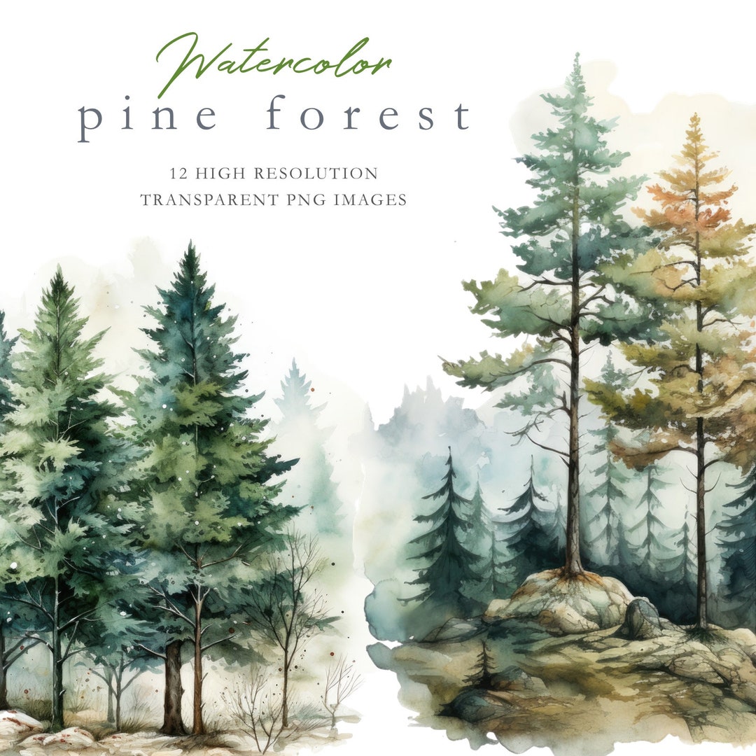 Pine Forest Clipart, Conifer Clipart, Watercolor Forest, Pine Tree ...