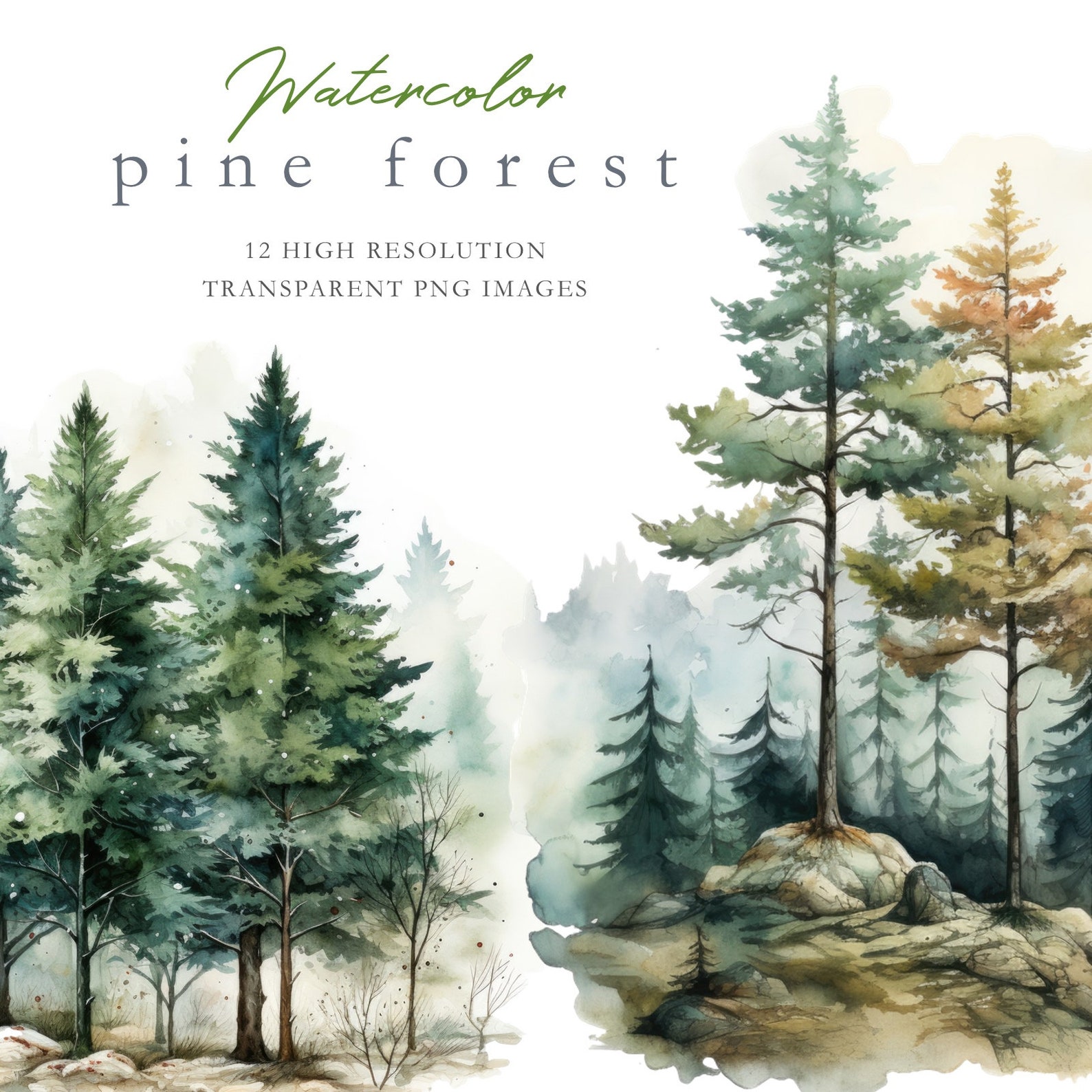 Pine Forest Clipart, Conifer Clipart, Watercolor Forest, Pine Tree ...