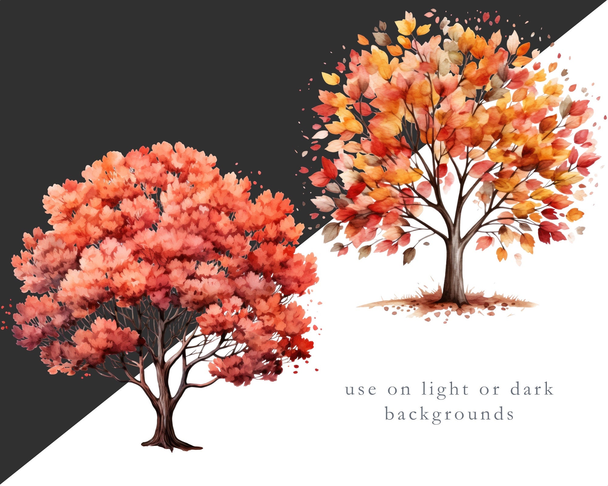 Fall Tree Clipart, Watercolor Fall Trees, Autumn Trees, Watercolor ...