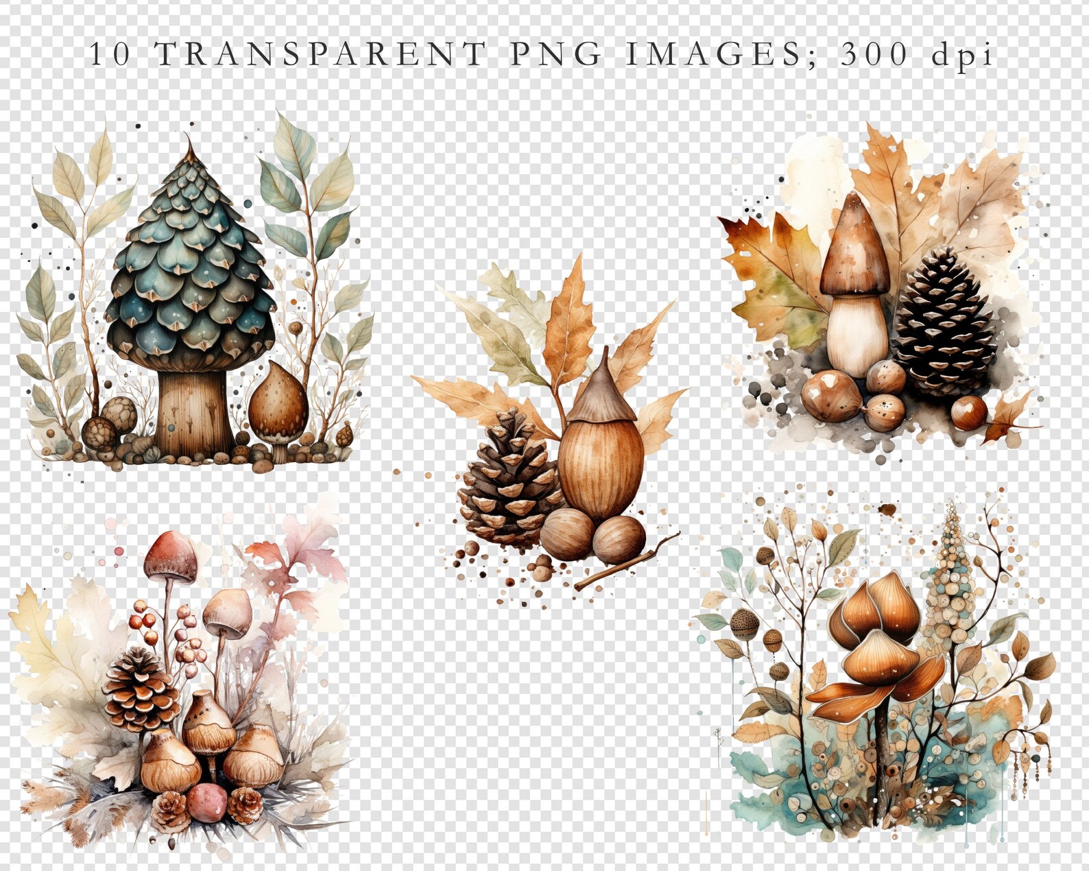Boho Autumn Clipart, Abstract Autumn Clipart, Autumn Bouquet, Boho Fall ...