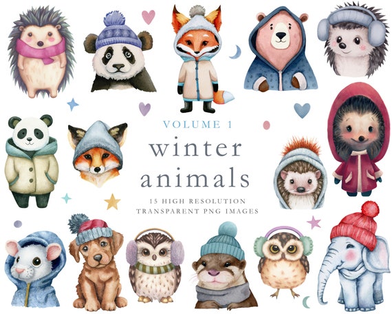 Winter Animals Clipart Commercial Use Winter Png Clip Art - Etsy