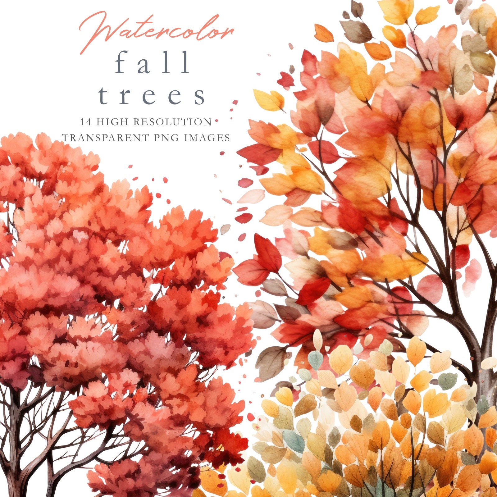 Fall Tree Clipart, Watercolor Fall Trees, Autumn Trees, Watercolor ...
