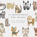 Boho Cats Clipart, Funny Cats Clipart, Watercolor Cats, Decorated Cats ...