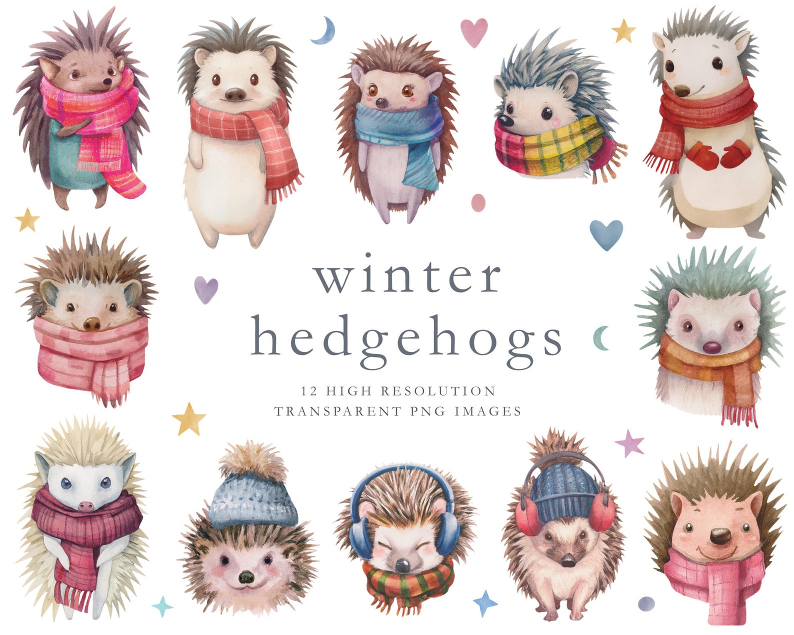 Winter Animal Clipart, Hedgehog Clipart, Winter Hedgehog, Animal ...