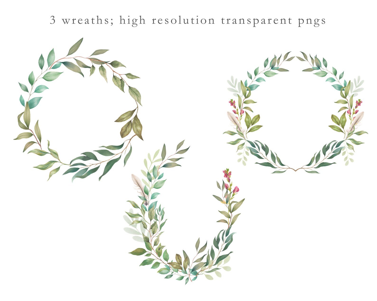 Watercolor Foliage Clipart Leaves Leaf Polygon Frames - Etsy