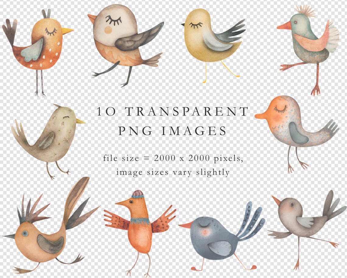 Cute Bird Clipart Watercolor Birds Silly Birds Funny Birds - Etsy