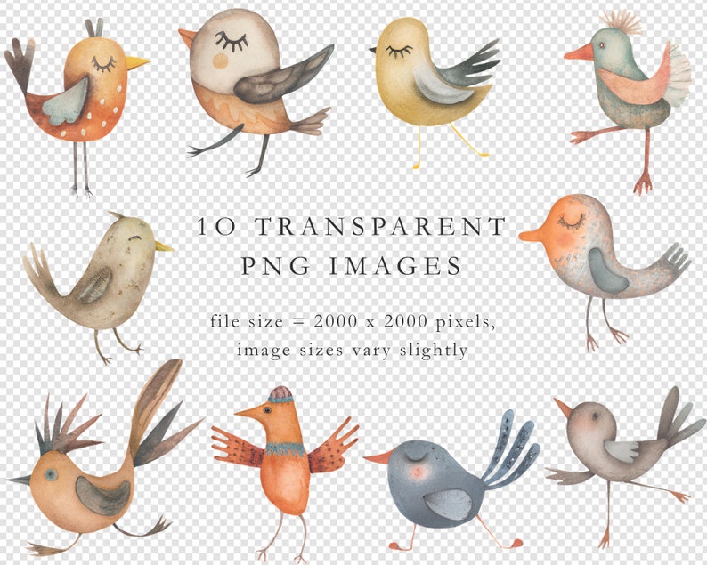 Cute Bird Clipart Watercolor Birds Silly Birds Funny Birds - Etsy