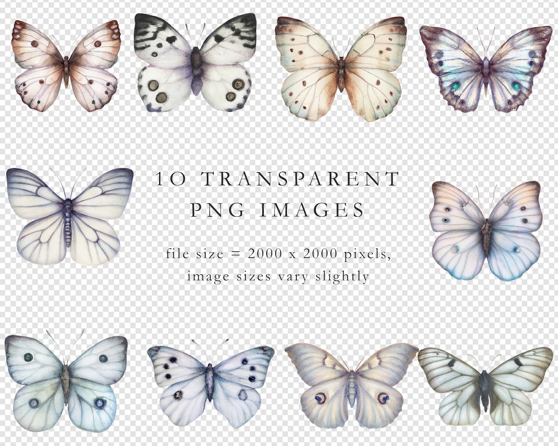 White Butterfly Watercolor Clipart Iridescent Butterfly - Etsy