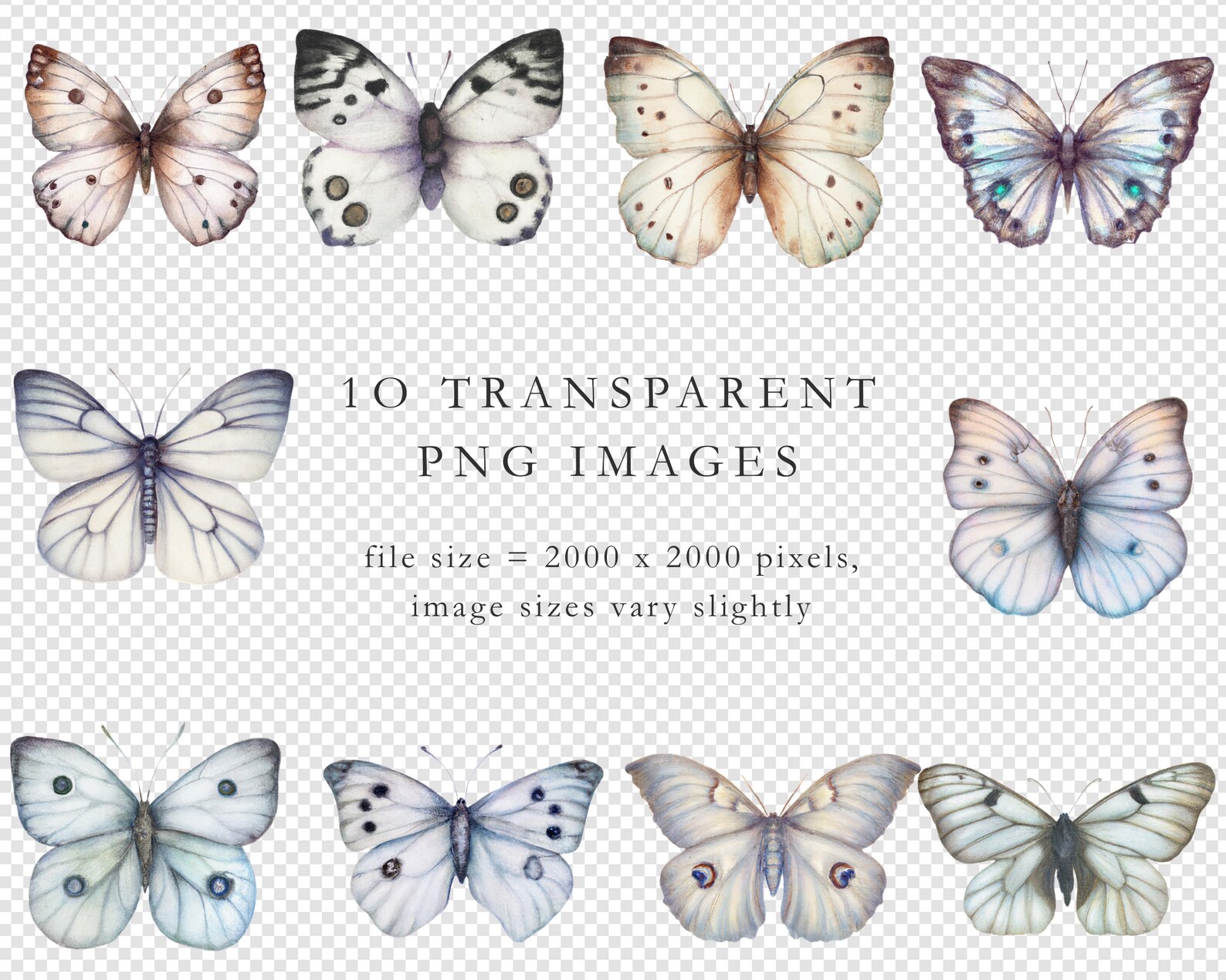 White Butterfly Watercolor Clipart Iridescent Butterfly - Etsy