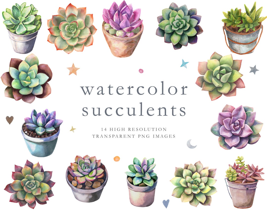 Watercolor Succulents Clipart, Boho Clipart, Watercolor Cactus Clipart ...