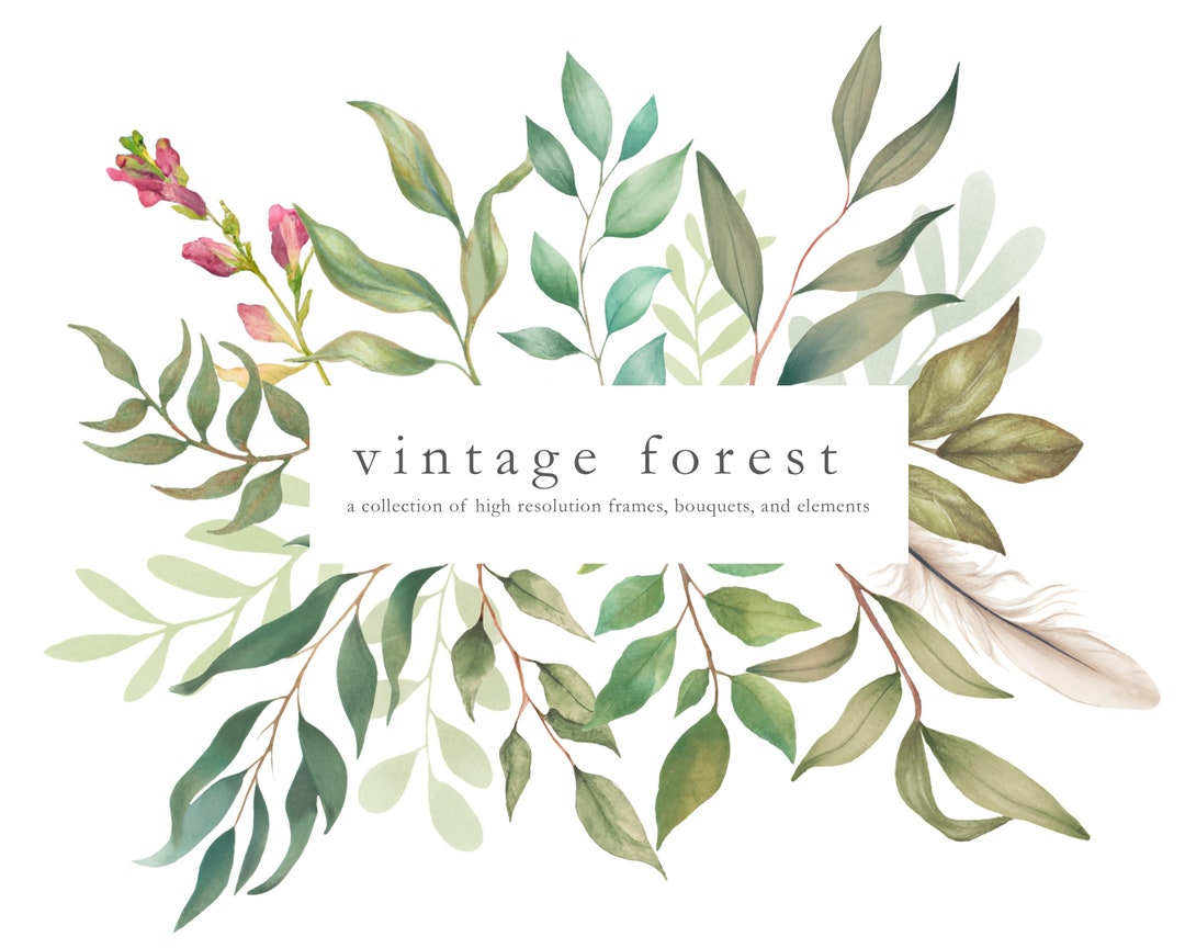 Watercolor Foliage Clipart, Leaves, Leaf, Polygon Frames, Foliage ...