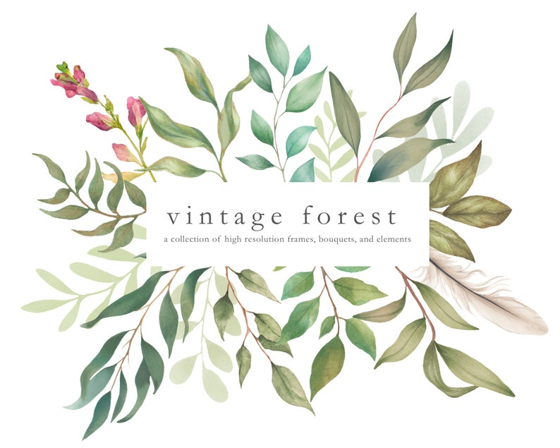 Watercolor Foliage Clipart, Leaves, Leaf, Polygon Frames, Foliage ...