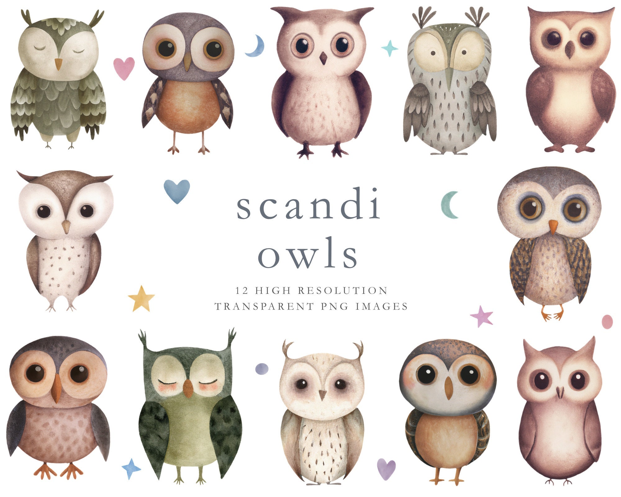 Scandi Owl Clipart Owl Png Watercolor Nordic Owl Clipart - Etsy