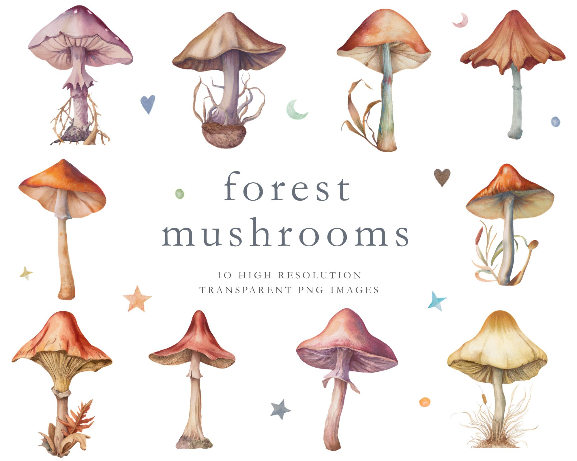 Forest Mushrooms, Fairytale Mushrooms, Watercolor Clipart, Whimsical ...