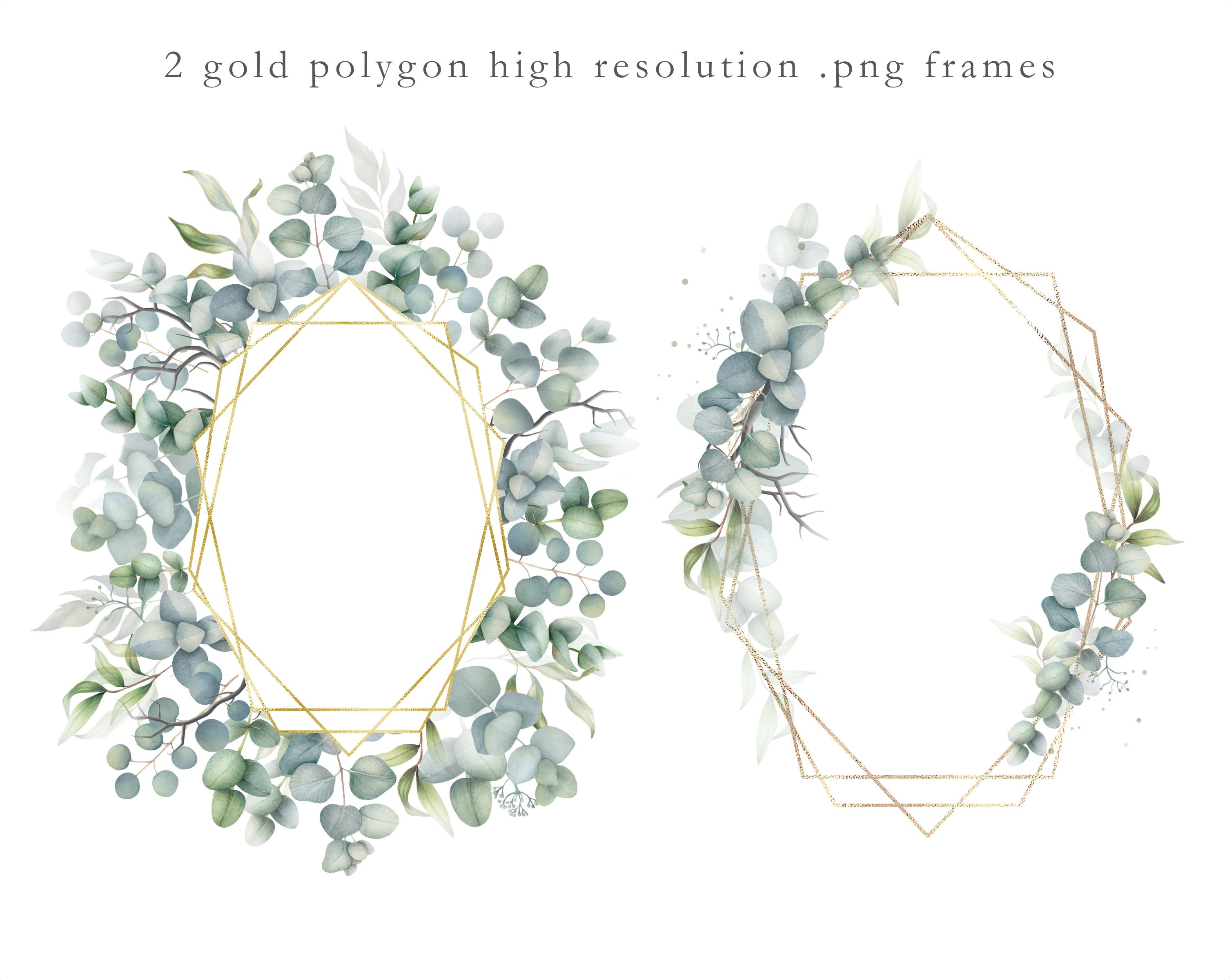Eucalyptus Frames Watercolor Eucalyptus Foliage Frames - Etsy
