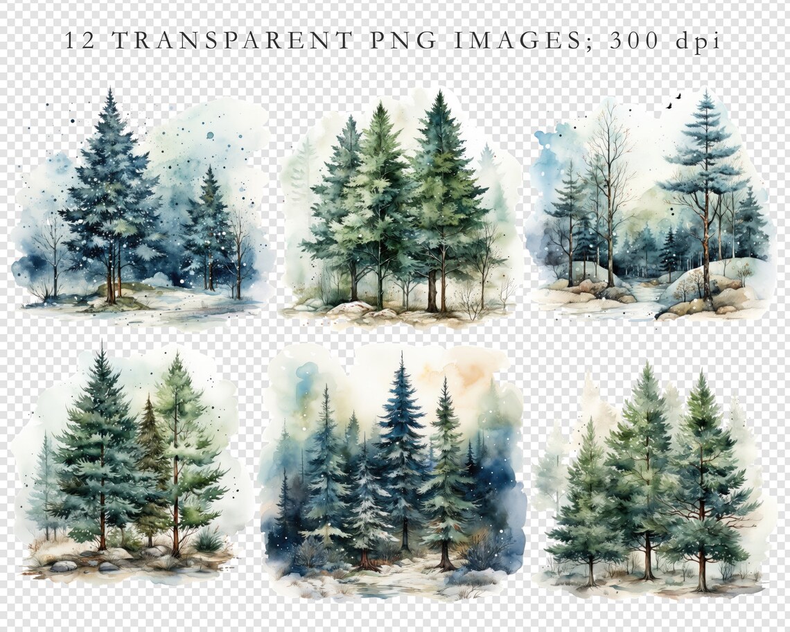 Pine Forest Clipart, Conifer Clipart, Watercolor Forest, Pine Tree ...
