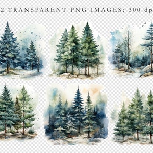 Pine Forest Clipart, Conifer Clipart, Watercolor Forest, Pine Tree ...